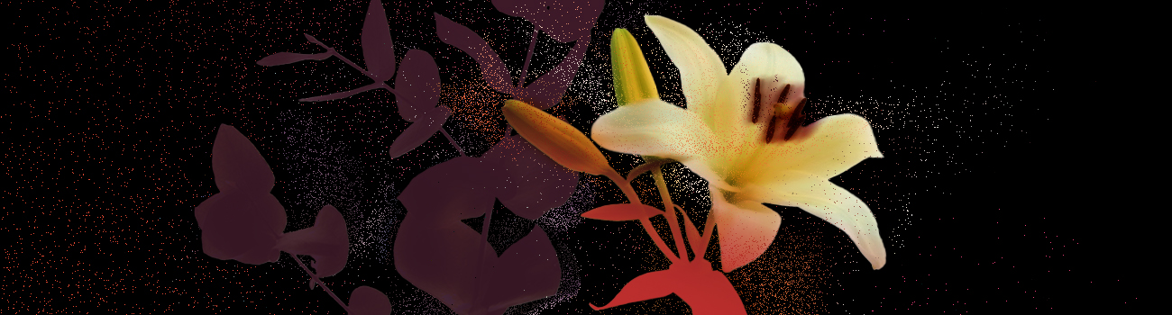 For The Love of Opera Event Details - Minnesota Opera